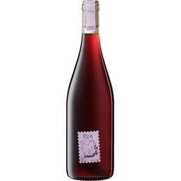 weingut glatzer Pinot Noir Blauer Sp&auml;tburgunder 2022 Trocken - Nieder&ouml;sterreich &ndash; Rotwein Qualit&auml;tswein
