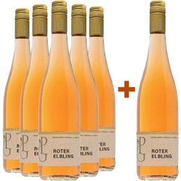 Weingut Peter Greif 5+1 Paket Roter Elbling 2024 Feinherb - Mosel &ndash; Probierpaket Qualit&auml;tswein