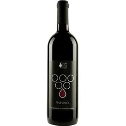 Tenuta Rita Solari Finevino Organic Red Wine Cuv&eacute;e Trocken - Ziano Piacentino Emilia Romagna &ndash; Rotwein Vino Generico