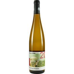 Weingut C.A. Immich-Batterieberg Riesling 2018 Feinherb - Trabener Zollturm Mosel &ndash; Wei&szlig;wein Qualit&auml;tswein