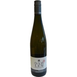 Weingut Dr. Dahlem Riesling 2025 Trocken - Oppenheimer Sacktr&auml;ger Rheinhessen &ndash; Wei&szlig;wein Sp&auml;tlese
