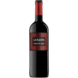 Bodegas Arzuaga Navarro La Planta Ribera del Duero DO Tempranillo 2024 Trocken - Kastilien und Le&oacute;n &ndash; Rotwein DOP