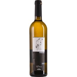 Weingut Wolf Edition -Lupus white- Riesling 2023 Trocken - Ungsteiner Weilberg Pfalz &ndash; Wei&szlig;wein Qualit&auml;tswein