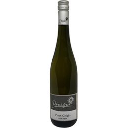 Weingut A. Pfeifer & S&ouml;hne! Pinot Grigio Grauburgunder 2023 Trocken - Rheinhessen &ndash; Wei&szlig;wein Qualit&auml;tswein