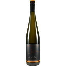 Weingut N&auml;gelsf&ouml;rst Weingut N&auml;gelsf&ouml;rst Klosterbergfelsen Steilflug Riesling 2023 Trocken - Baden &ndash; Wei&szlig;wein Qualit&auml;tswein