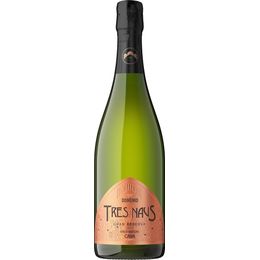 Cellers Domenys Tres Naus Gran Reserva brut nature 2017 Brut - Katalonien &ndash; Perl- & Schaumwein DOP