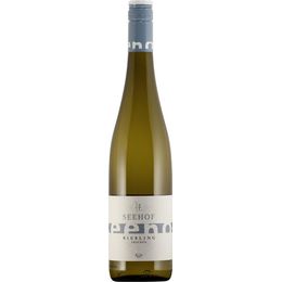 Weingut Seehof Riesling 2025 Trocken - Rheinhessen &ndash; Wei&szlig;wein Qualit&auml;tswein