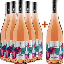 Tenuta Gorghi Tondi 5+1 Paket Rosa dei Venti Terre Siciliane Nerello Mascalese 2024 Trocken - Sizilien &ndash; Probierpaket IGP