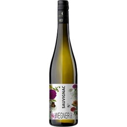 Weingut Karl Wegner Sauvignac 2025 Trocken - Pfalz &ndash; Wei&szlig;wein Qualit&auml;tswein