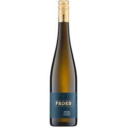 Weingut Fader Rhodter Schlossberg Alte Reben Riesling 2024 Trocken - Schlossberg, Pfalz &ndash; Wei&szlig;wein Qualit&auml;tswein