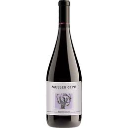 Ronsel do Sil Muller Cepa Multivarietal Ribeira Sacra DO Cuv&eacute;e 2024 Trocken - Galicien &ndash; Rotwein DOP