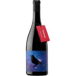 Vi&ntilde;a Zorzal Wines Golerga Navarra DO Garnacha Tinta 2024 Trocken - &ndash; Rotwein DOP