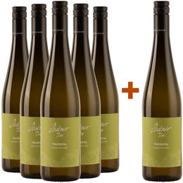 Weingut Tom Dockner 5+1 Paket TOM Traisental Gr&uuml;ner Veltliner 2025 Trocken - DAC &ndash; Probierpaket Qualit&auml;tswein