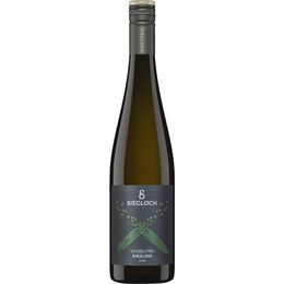 Weingut Siegloch "Kabi" Riesling 2023 Lieblich - Württemberg – Weißwein Deutscher Landwein