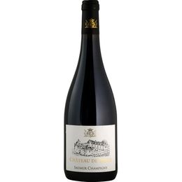 Ch&acirc;teau de Br&eacute;z&eacute; Chateau - Saumur Champigny Cabernet Franc 2020 Trocken Loire &ndash; Rotwein AOP