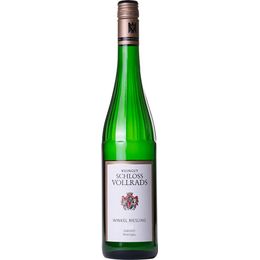 Schloss Vollrads Winkel fruchtig- VDP.ORTSWEIN Riesling 2022 S&uuml;&szlig; - Rheingau &ndash; Wei&szlig;wein Kabinett