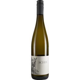 Weingut Nagel Scheurebe 2023 Feinherb - Pfalz &ndash; Wei&szlig;wein Qualit&auml;tswein