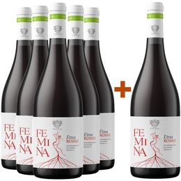 Cantine Patria 5+1 Paket Femina Rosso Etna Nerello Mascalese 2022 Trocken - Sizilien &ndash; Probierpaket DOC