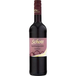 Weingut Schott Sp&auml;tburgunder 2021 Trocken - Rheinhessen &ndash; Rotwein Qualit&auml;tswein