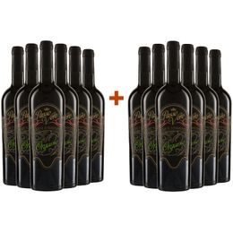WirWinzer Select L&ouml;rrach 6+6 Paket Passo Vero Montepulciano 2019 Halbtrocken - Apulien &ndash; Probierpaket Vino Generico