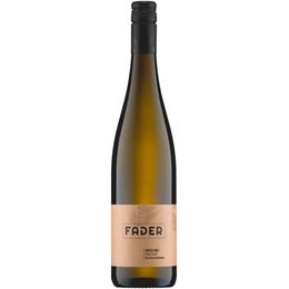 Weingut Fader Riesling 2024 Trocken - Buntsandstein Pfalz &ndash; Wei&szlig;wein Qualit&auml;tswein