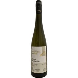 Weinkellerei Paul Nickel & Söhne Gelber Muskateller 2023 Lieblich - Pfalz – Weißwein Qualitätswein