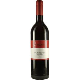 Weingut Simonis Sp&auml;tburgunder 2024 Trocken - Mosel &ndash; Rotwein Qualit&auml;tswein
