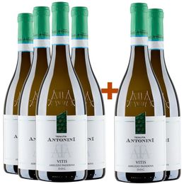 Tenuta Antonini Alessio 4+2 Paket Vitis d'Abruzzo Passerina 2025 Trocken - Abruzzen &ndash; Probierpaket DOC