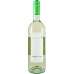 Weingut Mario Hareter Sauvignon Blanc 2024 Trocken - Ungerberg Burgenland &ndash; Wei&szlig;wein Qualit&auml;tswein