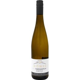 Weingut M&ouml;wes Weingut M&ouml;wes Gelber Muskateller 2024 Trocken - Weyher in der Pfalz &ndash; Wei&szlig;wein Qualit&auml;tswein