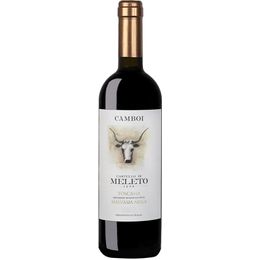 Castello di Meleto Camboi Toscana Malvasia Nera 2020 Trocken - cru Toskana &ndash; Rotwein IGP