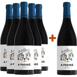 A Pachas Aktionspaket 5+1 Crianza Madrid DO Tempranillo 2021 Trocken - &ndash; Probierpaket DOP