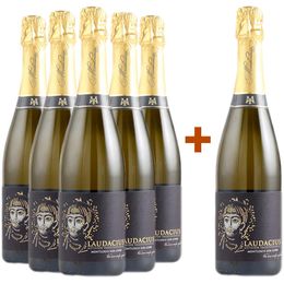 Maison Laudacius 5+1 Paket "Laudacius" M&eacute;thode Traditionnelle Montlouis sur Loire Chenin Blanc Brut nature - &ndash; Probierpaket AOP