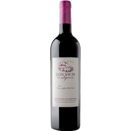 Bodega Son Vich de Superna Esencia Serra Tramuntana Costa Nord VT Cabernet Sauvignon 2016 Trocken - Balearische Inseln &ndash; Rotwein IGP