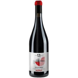 Cantine Cavallotti Nerot dell&acute;Oltrep&oacute; Pavese Pinot Nero 2023 Trocken - Lombardei &ndash; Rotwein DOC