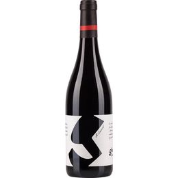 weingut glatzer St. Laurent Saint 2023 Trocken - Nieder&ouml;sterreich &ndash; Rotwein Qualit&auml;tswein