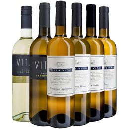Villa Vitas Wei&szlig;wein Kennenlern-Paket Trocken - Friaul &ndash; Probierpaket Diverse