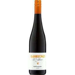 Weingut Lorenz und S&ouml;hne Weingut Lorenz und S&ouml;hne Sp&auml;tburgunder 2022 Trocken - Nahe &ndash; Rotwein Qualit&auml;tswein