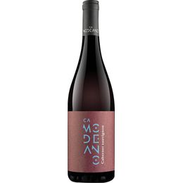 Modeano Friuli Cabernet Sauvignon 2023 Trocken - Friaul &ndash; Rotwein DOC