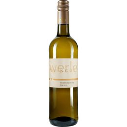 Weingut Werle Weissburgunder Wei&szlig;burgunder 2024 Trocken - Nahe Rheinhessen &ndash; Wei&szlig;wein Qualit&auml;tswein