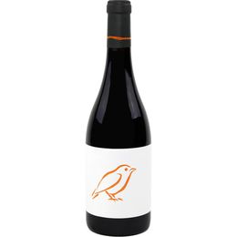 Cerrolaza Atticus Reserva Rioja DOCa Tempranillo 2016 Trocken - La &ndash; Rotwein DOP