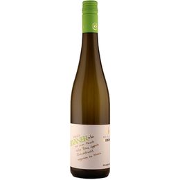 Weingut Kirch Silvaner 2023 Trocken - Nordheimer Kreuzberg Franken &ndash; Wei&szlig;wein Kabinett
