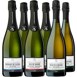 Cava Conde de Valicourt Gran Reserva Kennenlernpaket DO Cuv&eacute;e Brut nature - Katalonien &ndash; Probierpaket DOP