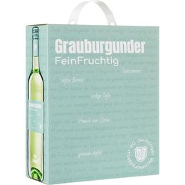 Jechtinger Weinmanufaktur eG FeinFruchtig Bag in Box 3,0 L Grauburgunder 2024 Feinherb - Baden – Weißwein Qualitätswein
