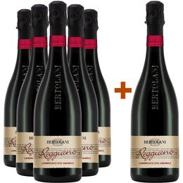 Azienda Vinicola Bertolani Alfredo 5+1 Paket Lambrusco Reggiano Cuv&eacute;e Mild - Emilia Romagna &ndash; Probierpaket DOC
