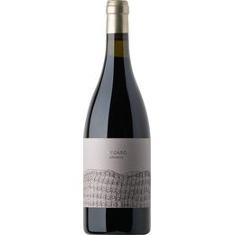Compania de Vinos Telmo Rodriguez Telmo Rodriguez Pegaso Pizarra Cebreros DO Garnacha Tinta 2009 Trocken - Kastilien und Le&oacute;n &ndash; Rotwein DOP