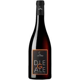 Azienda Agricola Diegale di Toscana Pinot Noir 2019 - Toskana &ndash; Rotwein IGP