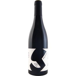 weingut glatzer Blaufr&auml;nkisch Ried 2019 Trocken - B&auml;rnreiser Carnuntum DAC &ndash; Rotwein Qualit&auml;tswein