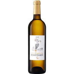 Ch&acirc;teau de Chantegrive La Panache "Les Oiseaux Chantegrive" Graves Cuv&eacute;e 2019 Trocken - Sus Ouest la ville Bordeaux &ndash; Wei&szlig;wein AOP