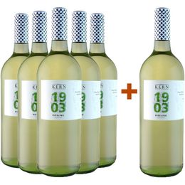 Wilhelm Kern 5+1 Paket "1903" 1,0L Riesling 2023 Feinherb - W&uuml;rttemberg &ndash; Probierpaket Qualit&auml;tswein